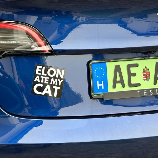 Tesla Owner Bumper Sticker, I Bought This Before ELON WENT CRAZY, Tesla ...