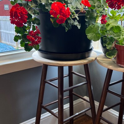 10 Pack/1thick/ 18'' in Diameter/blank Wood Rounds/wood Rounds 18 Inch ...