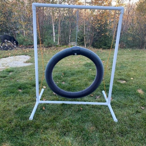 Dog Agility Tire Jump - Made From Superior Grade PVC. AKC Regulation ...