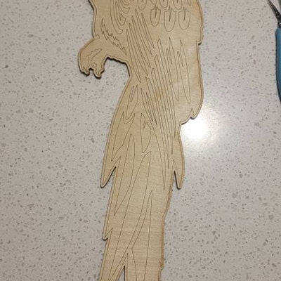 Alligator Gar Fish Silhouette, Gar Fish Svg Vector, Cricut, CNC, Laser ...