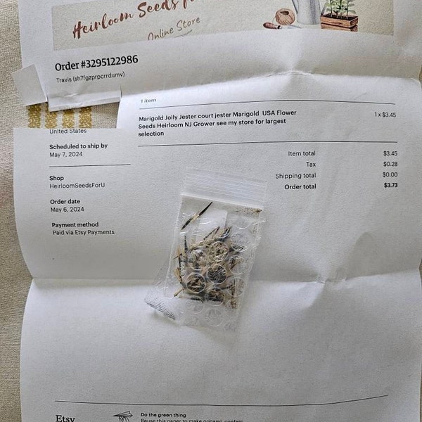 Salvia White Victory Seeds USA Flower Seeds Heirloom NJ Grower See My ...