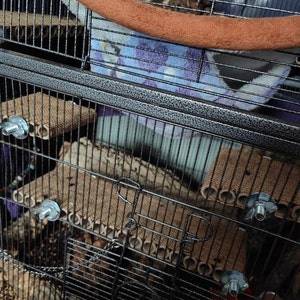 Degu Corner Shelf Pet Toy, Degu, Rat, Gerbil, Hamster Cage Accessory ...