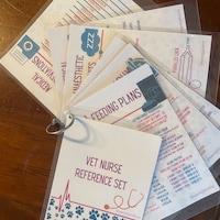 DIGITAL DOWNLOAD Vet Nurse Report Card, TPR, Assessment, Orders ...