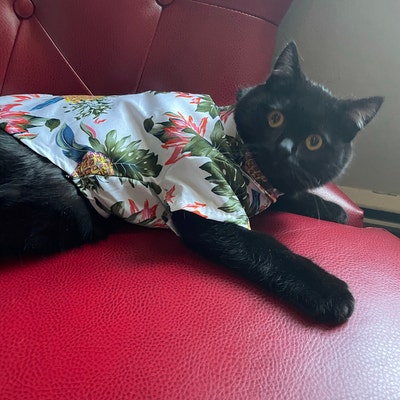 Summertime Aloha Shirt for Cats - Etsy