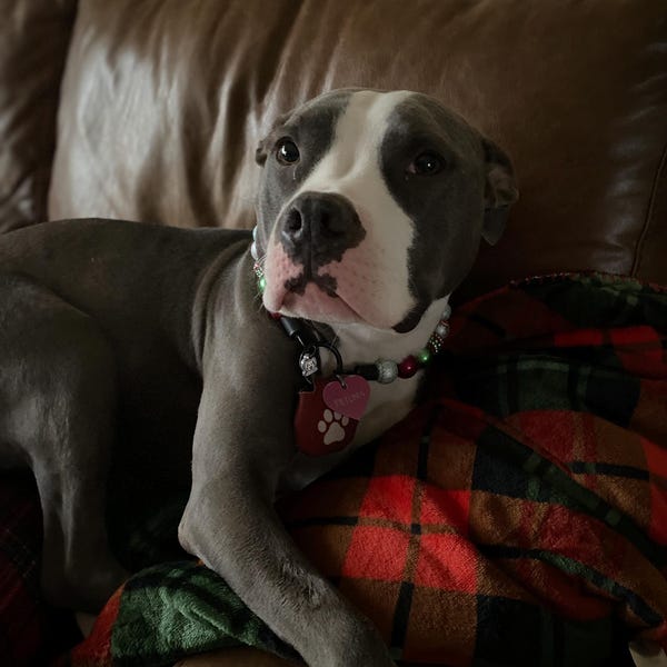 It's A Good Day for A Miracle | IVF IUI Svg / Png, Infertility Svg ...