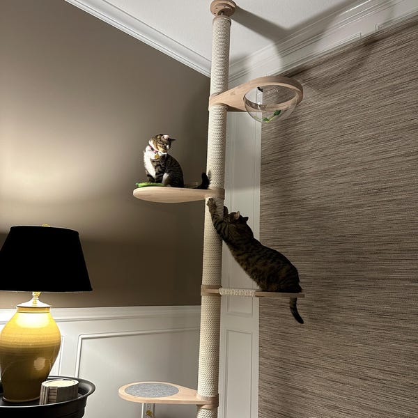 Cat Adjustable Tower Floor to Ceiling Cat Tower Wood Cat Tree Cat ...
