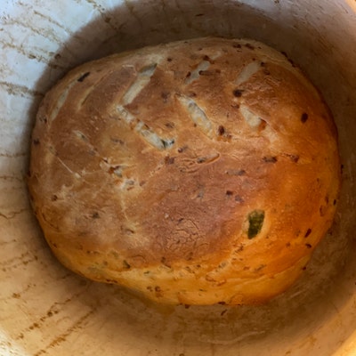 180 Year Old Alaskan Sourdough Starter - Etsy