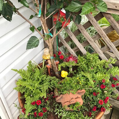 Fairy Garden Worms,water Sensor Worms for Your Garden or Planters,8 ...