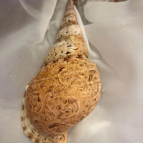 Carved Abalone Shell Hummingbird Theme Paua Abalone Real and Natural ...