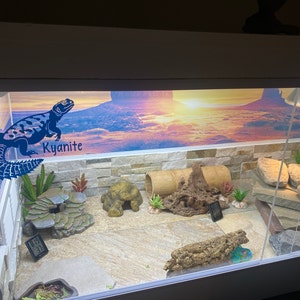 Sulcata Tortoise Cute Turtle Reptile Sticker Gift | Etsy