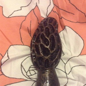 SPLASH BLOCK MOLD Concrete Mold Abs Plastic Concrete - Etsy