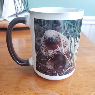 11 Oz Black Magic Mug Heat Activated Color Changing Mug Popular Custom ...