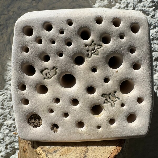 XL Wildbienen Nisthilfe "Wegerich & Insekten" mit ca. 12 cm Seitenlänge ...