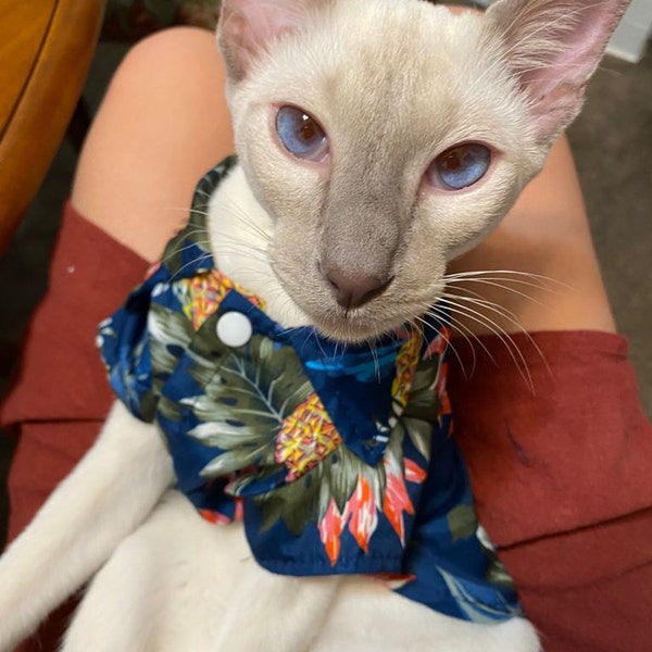 Summertime Aloha Shirt for Cats - Etsy