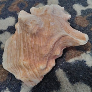 Welcome Sign Coastal Decor Sign Beach Sign Pool Decor | Etsy