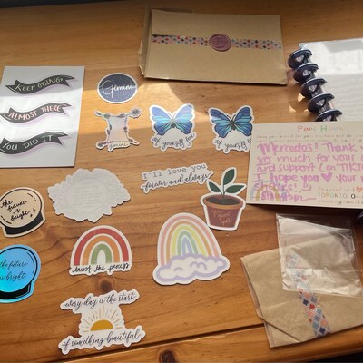 The Wild Robot Die Cut Vinyl Sticker Roz and Brightbill - Etsy