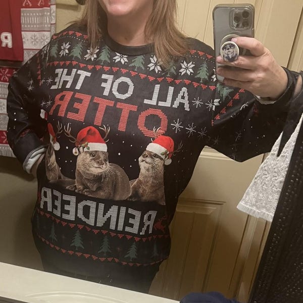 Ragdoll Car Sunshade, Ragdoll Cat Gift, Ragdoll Car Decor, Ragdoll Auto ...