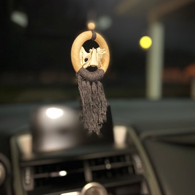 Real Mole Bone Displays. Bone Display. Mounted Mole Bones. - Etsy UK