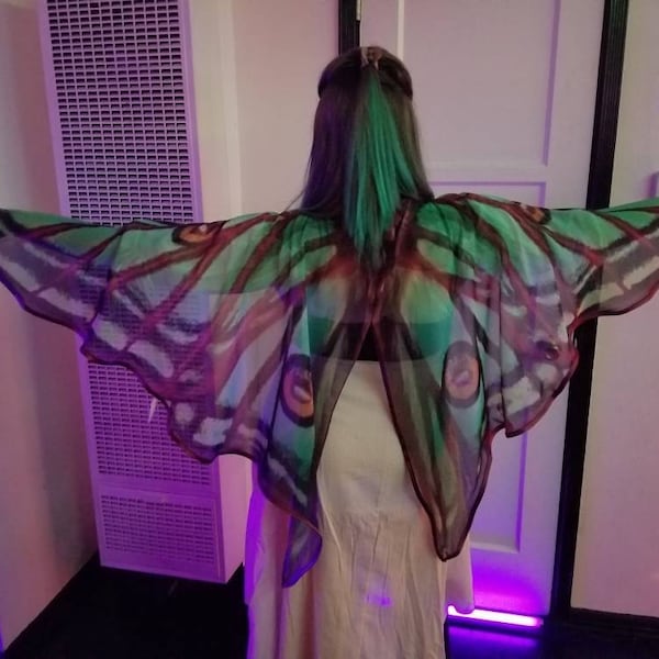 Luna Moth Wings Cape: Adult Costume, Chiffon Dance Shawl - Etsy