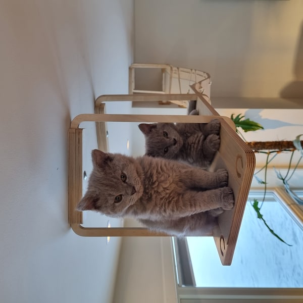 Plywood Ceiling Cat Bridge: Modern Cat Shelves Set - Etsy