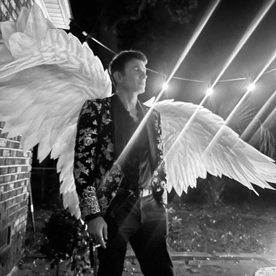 Extra Large Wings, White Angel Wings, Black Wings, Gold Wings, Big ...