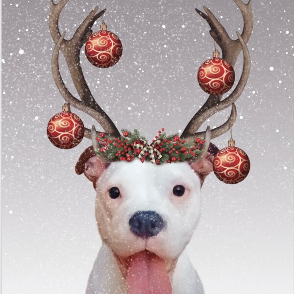 My Pet Reindeer, Pet Portrait From Photo, Digital Christmas Portrait ...