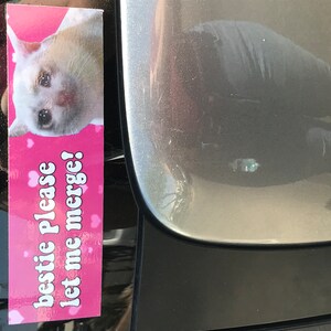 Bestie Please Let Me Merge Funny Gen Z Meme Y2K Pink Aesthetic Bumper ...