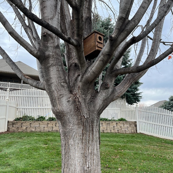 Extra Large Squirrel House, Squirrel House, Cedar Squirrel House ...