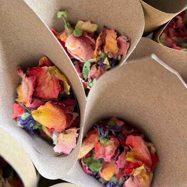 Biodegradable Confetti. Almost Rainbow Petals. Natural Confetti for All ...