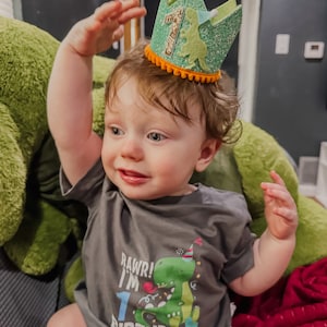 Dinosaur First Birthday 1st Birthday Boy Dinosaur Birthday - Etsy