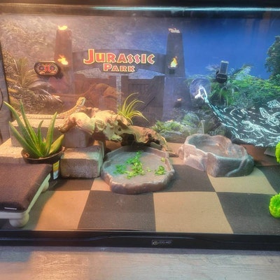 Aquarium / Terrarium Background / Colorful Plants - Etsy