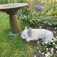 Stone Garden Lying Frenchie French Bulldog Dog Puppy Ornament Statue ...
