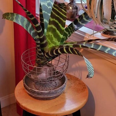 Fossil Planter Rustic Ceramic Plant Pot Succulent Air - Etsy