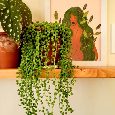 Surrender Art Print, Plant Lover Gift, Plant Mom Art, Gift for Her - Etsy