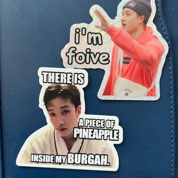 Stray Kids Bang Chan Meme Stickers - Etsy