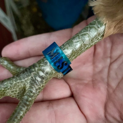 Personalized Chicken or Bird Leg Band, Name Band - Etsy