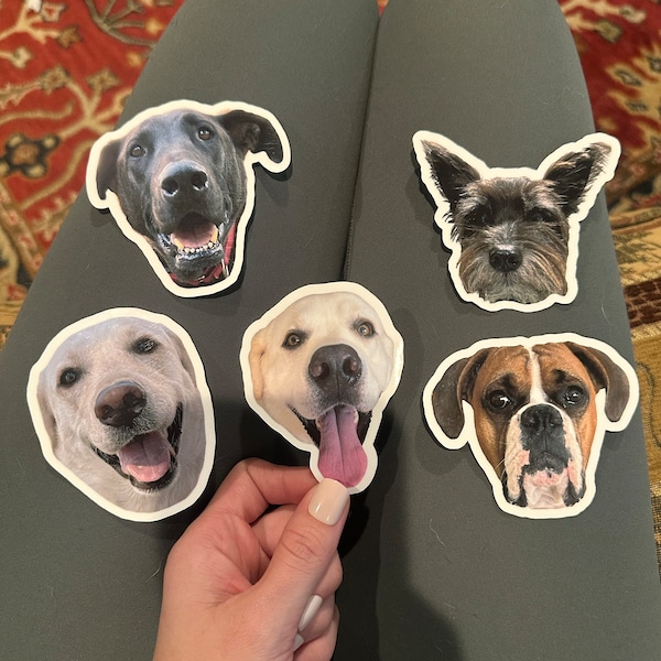 Custom Pet Sticker, Die Cut Vinyl Waterproof, Personalized Gift, Custom ...
