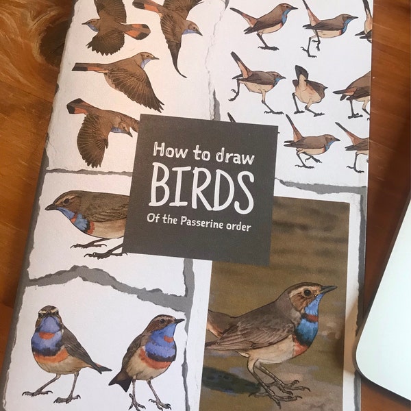 How to Draw Birds: of the Passerine Order - Etsy