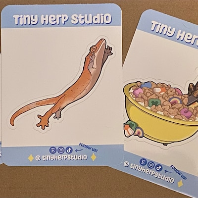 Boa Constrictor Bubble Gum Sticker - Etsy