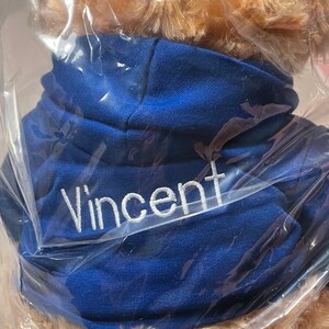 Personalized Tampa Bay Lightning Baby Gift Basket Bibs, Burp Cloths ...