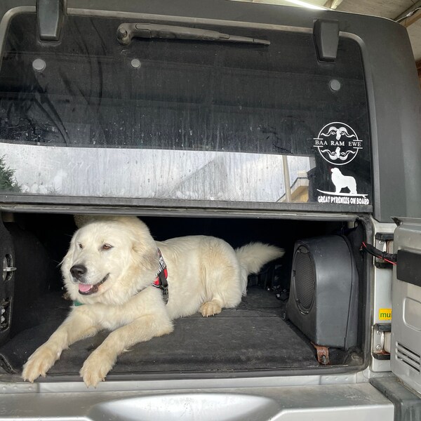 Baa Ram Ewe Sheep Decal - Bah Ram Ewe, Ram Decal, Country Decal, Farm ...