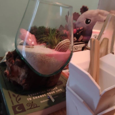 Hand-blown Glass Air Plant Terrarium With Angel Aura Crystal Perfect ...