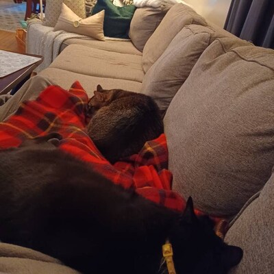 Vintage Industrial Singer Handheld Vacuum Cleaner Model H7 Works Great ...