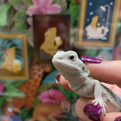 Bearded Dragon Eating Ice Cream Cone Tank Decor Reptile Art Lizard ...