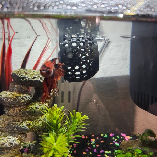 Betta Lair, Aquarium Swim Through Cave Decoration for Aquatic Pets ...