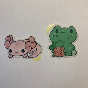 I'm Chonky Frog Sticker/meme Frog/cute Frog Sticker/froggy Sticker/cute ...