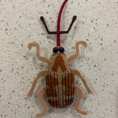 Bugs Collection From Felt, Realistic Beetle Toys, Learn Nature Felted ...