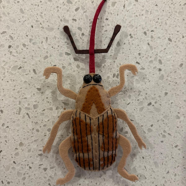 Felt Weevil Realistic Toy Felted Weevil - Young Naturalist Gift Figure ...
