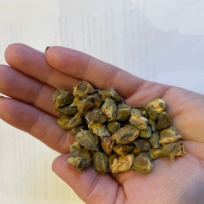 Organic Dried Strawberries, Homemade Dried Strawberries Without ...