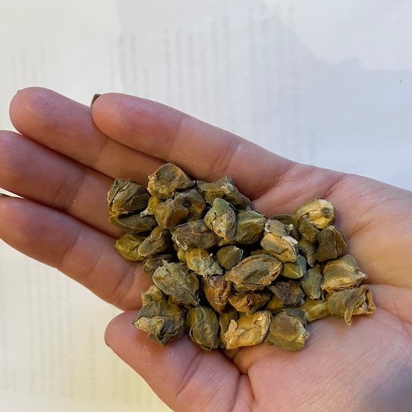 Famous Walnut and Almond Damascus Dessert, Homemade Pure Damascus ...